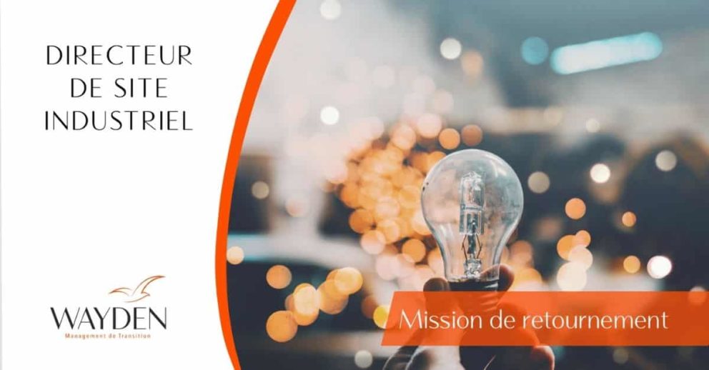 Wayden – Spécialiste du management de transition en France