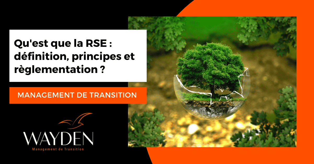 Qu'est-ce que la RSE : définition, principes et réglementation